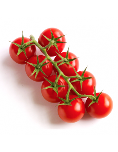 Tomato Cherry Truss – Fresko Home